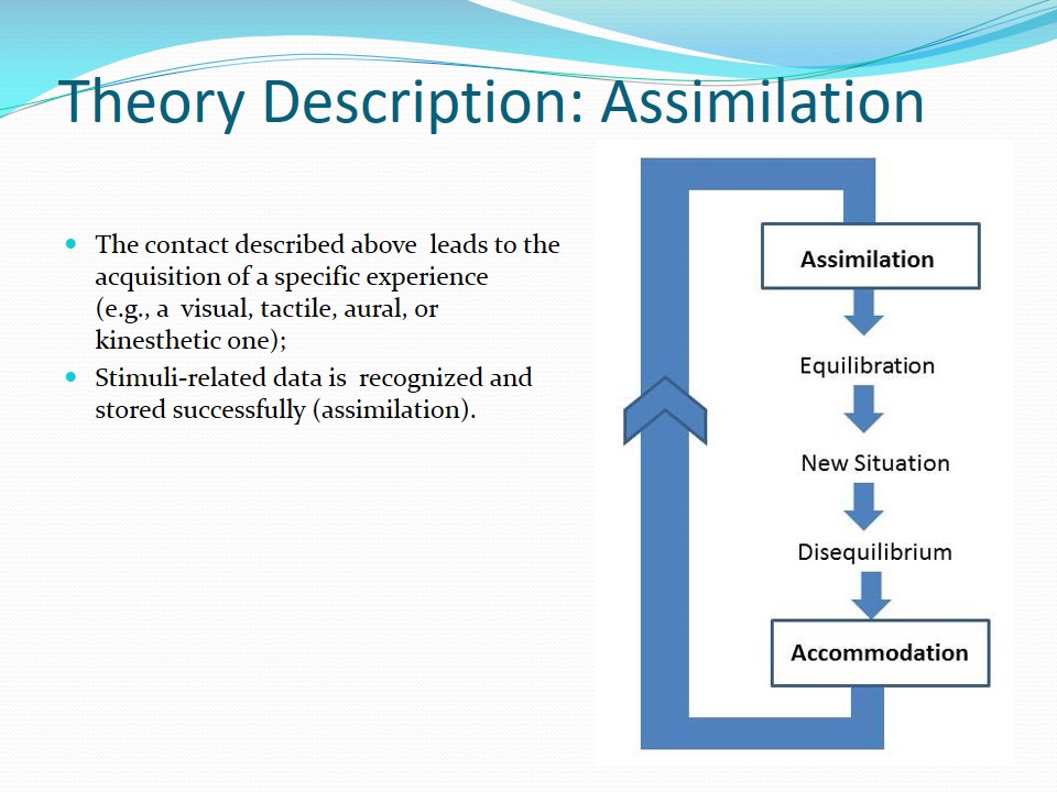 Piaget's Child Development Theory - 923 Words | Presentation Example